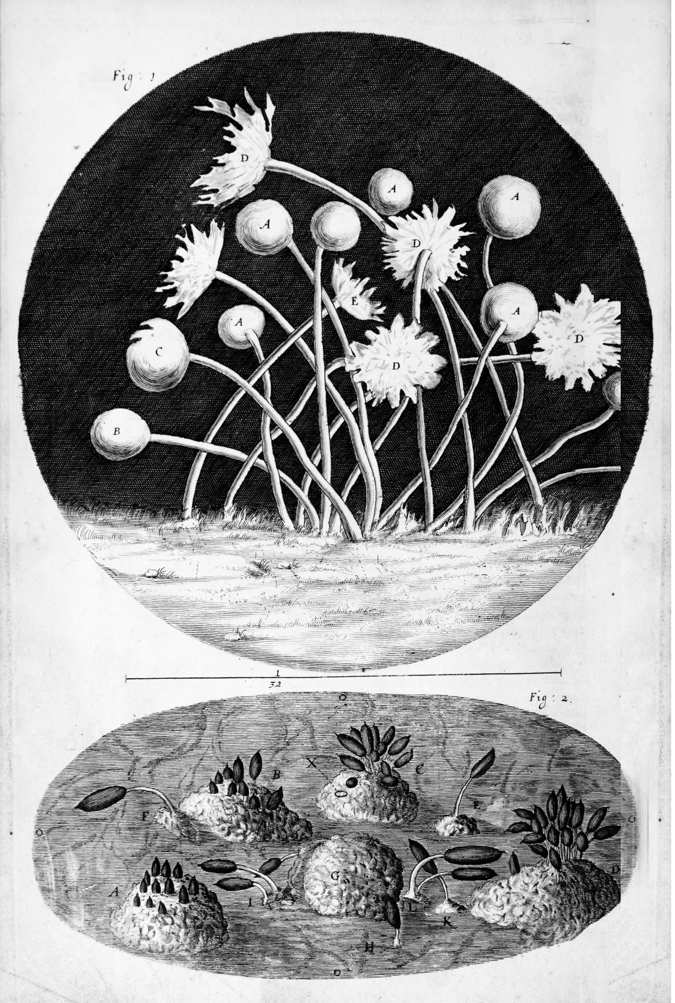 Room for Artifacts: The Architecture of WOJR - JAE