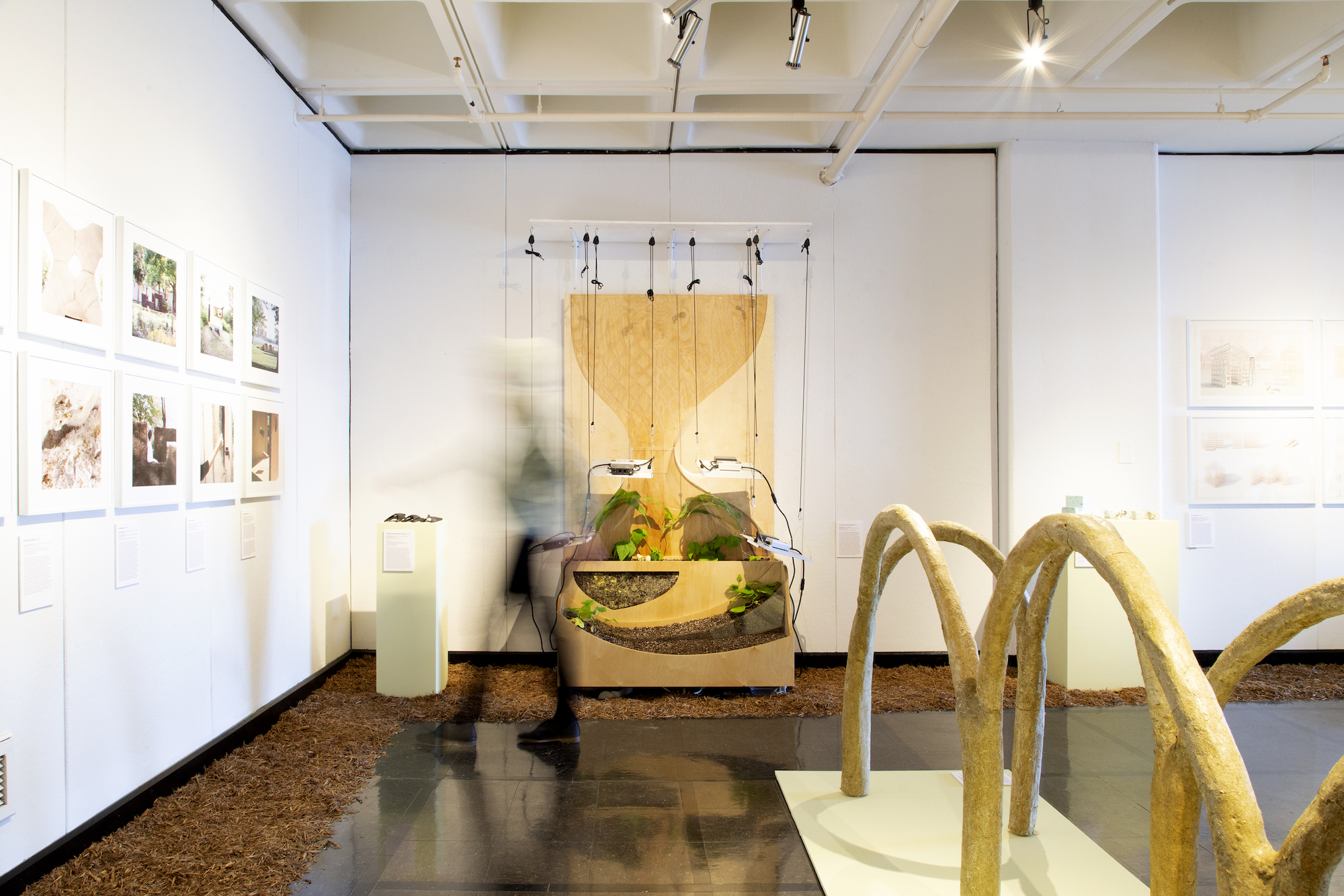 Biomaterial Building Exposition - JAE