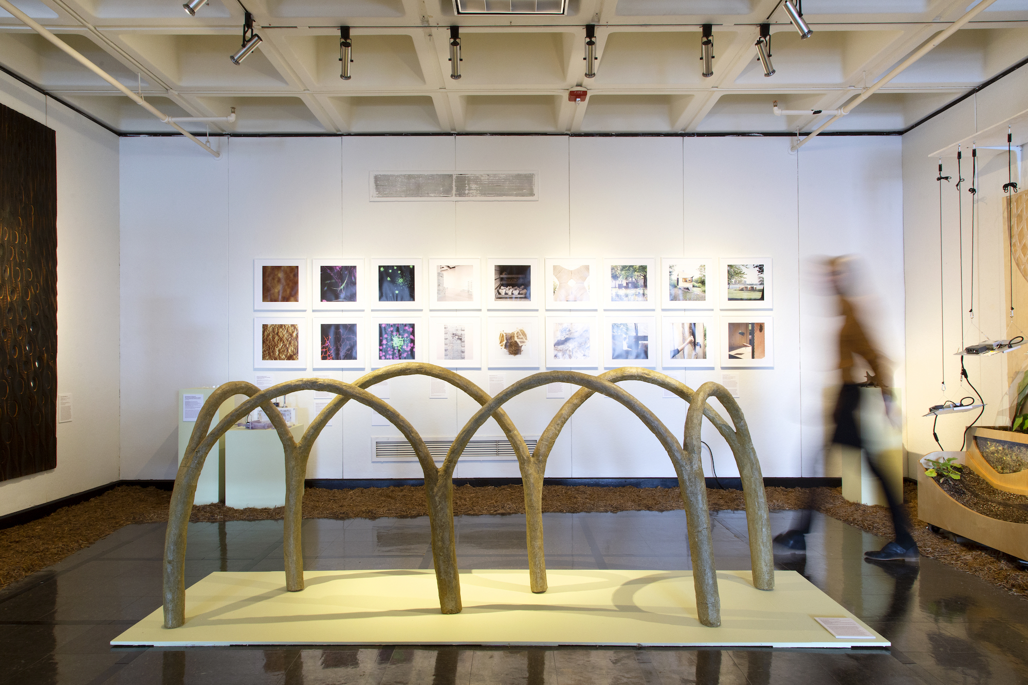 Biomaterial Building Exposition - JAE